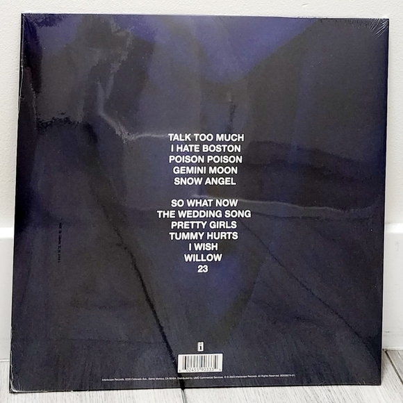 Media | Renee Rapp Snow Angel Vinyl Light Blue Translucent | Poshmark